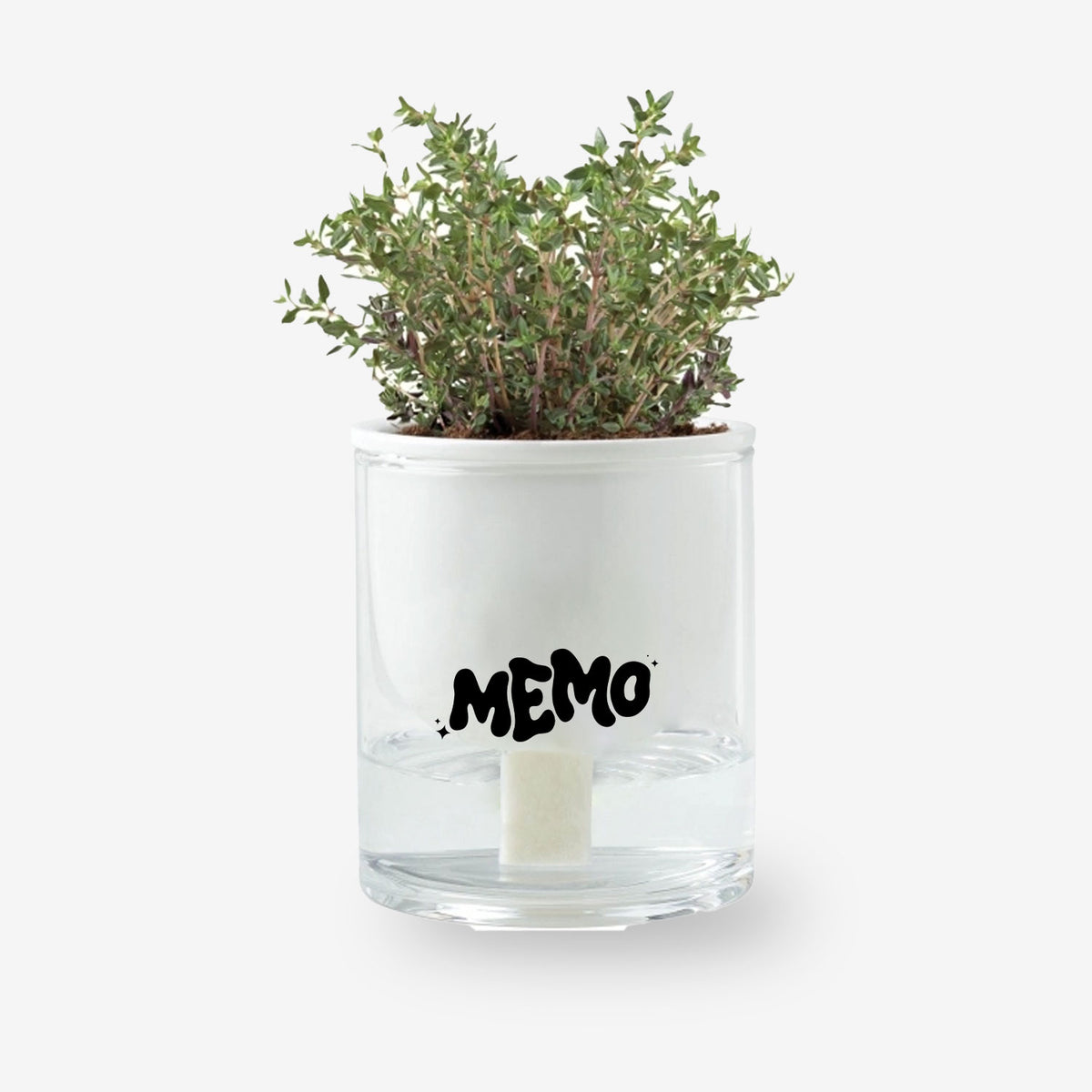 MEMO Water Planter – FLTBYS